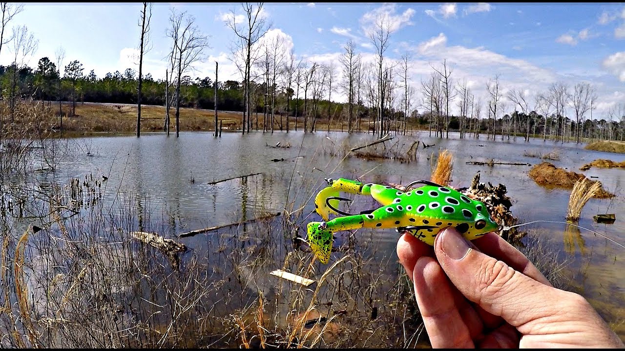 Frog Fishing Tournament!! - YouTube