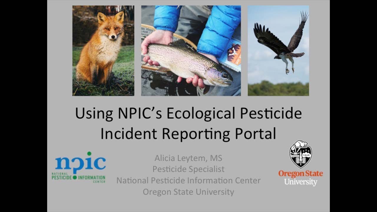Using NPIC's Ecological Pesticide Incident Reporting Portal - YouTube