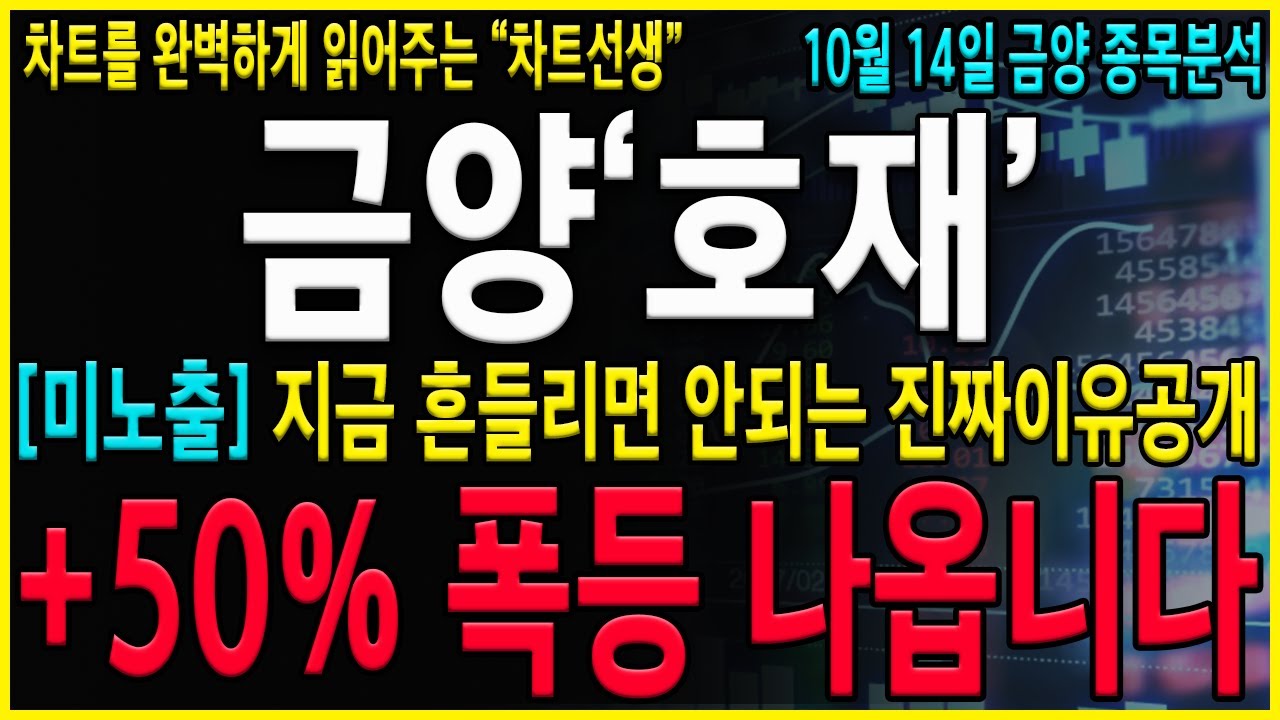 금양 주가 전망 긴급 유상증자 성공을 위한 세력들의 급등전 개미털기 전략 이 가격까지는 버티고 가세요 결국 다시