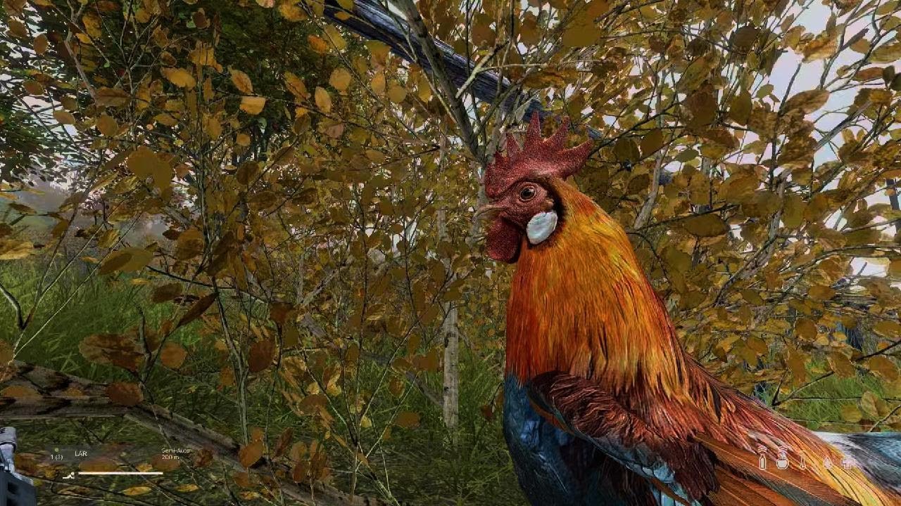 DayZ_Rooster - YouTube