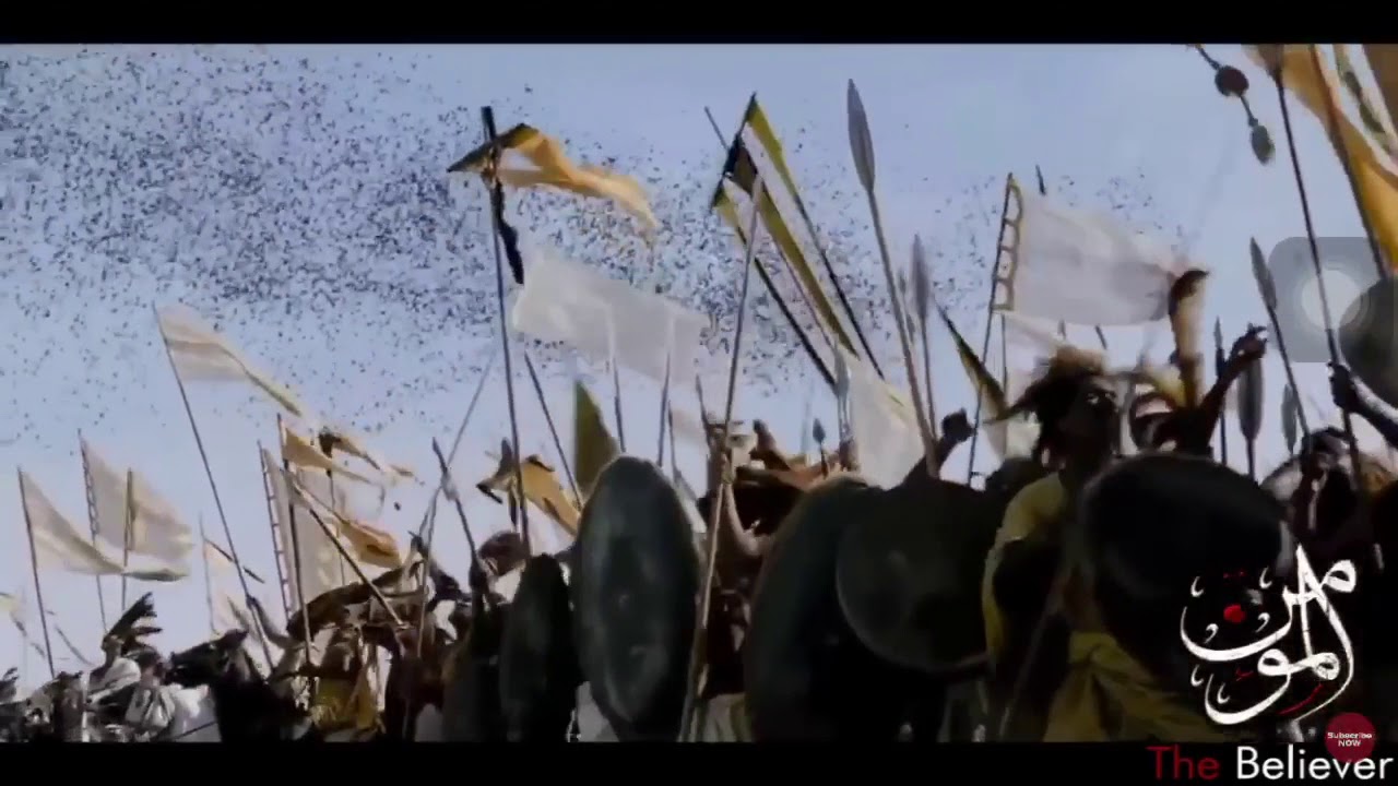 Daily reminder - ababil bird tamil - YouTube