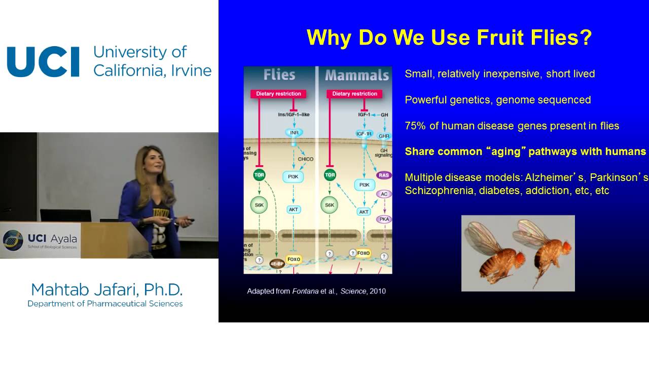 Dr. Mahtab Jafari on the anti-aging powers of cinnamon and other ...