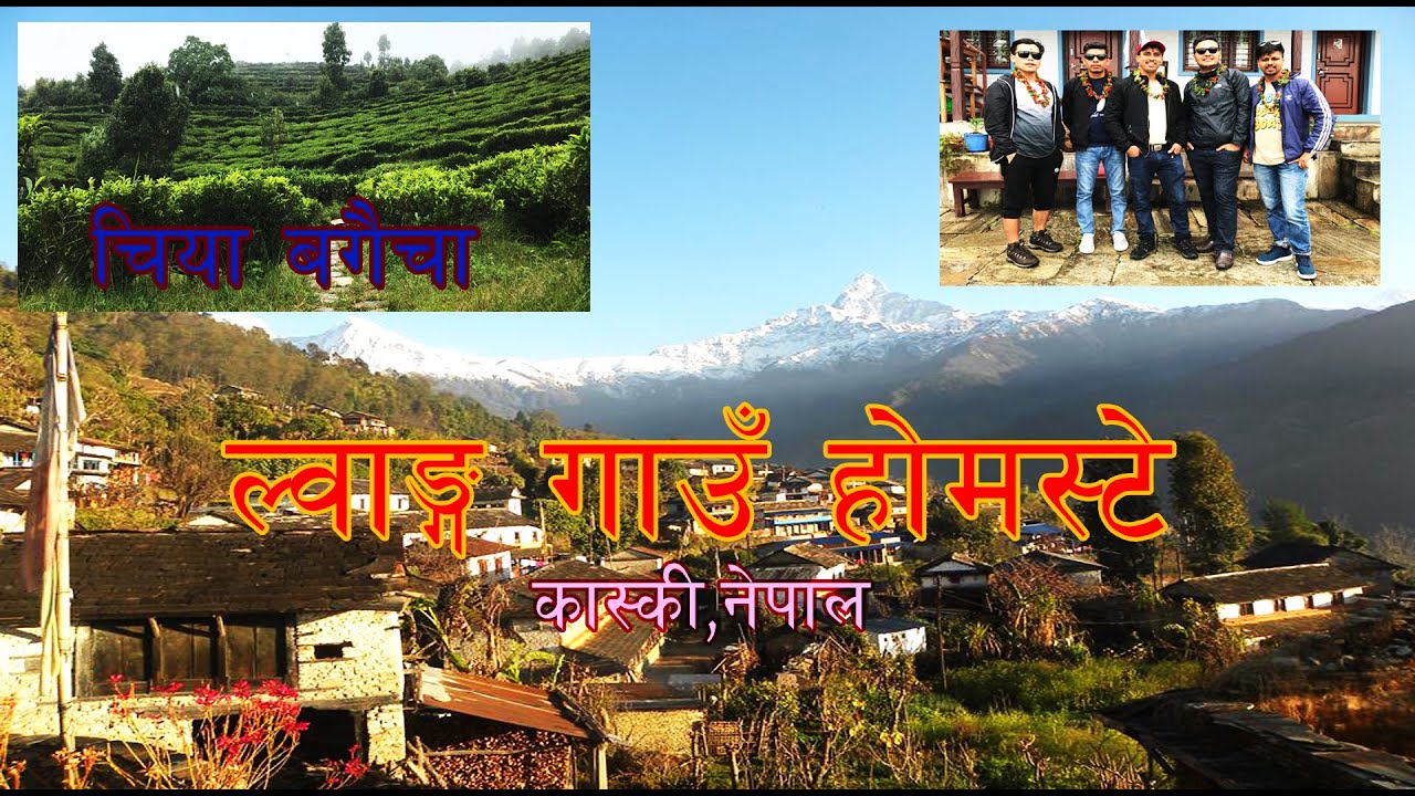 Lwang Village Homestay - YouTube