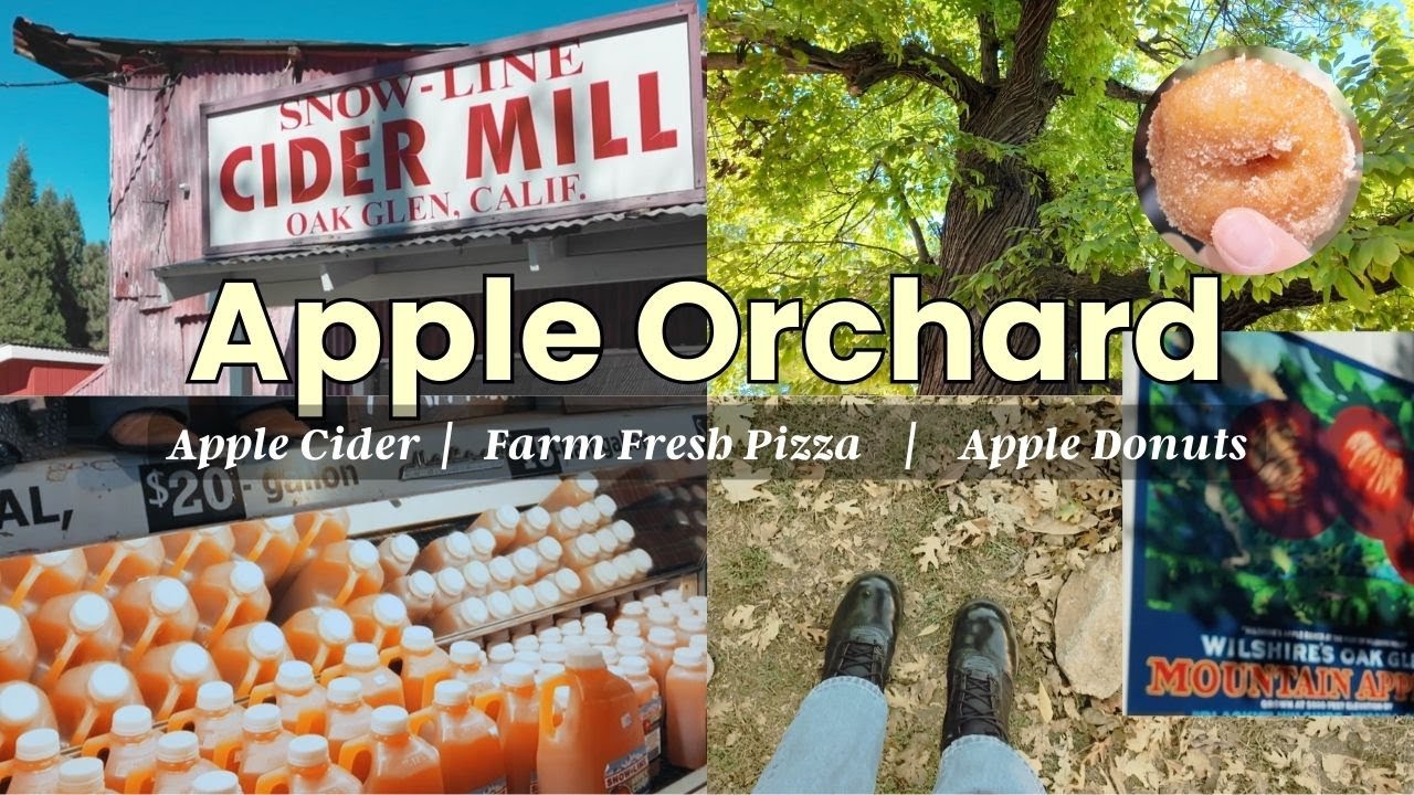 Cozy Apple Orchard | Apple Cider & Donuts | Aesthetic Fall Adventure ...