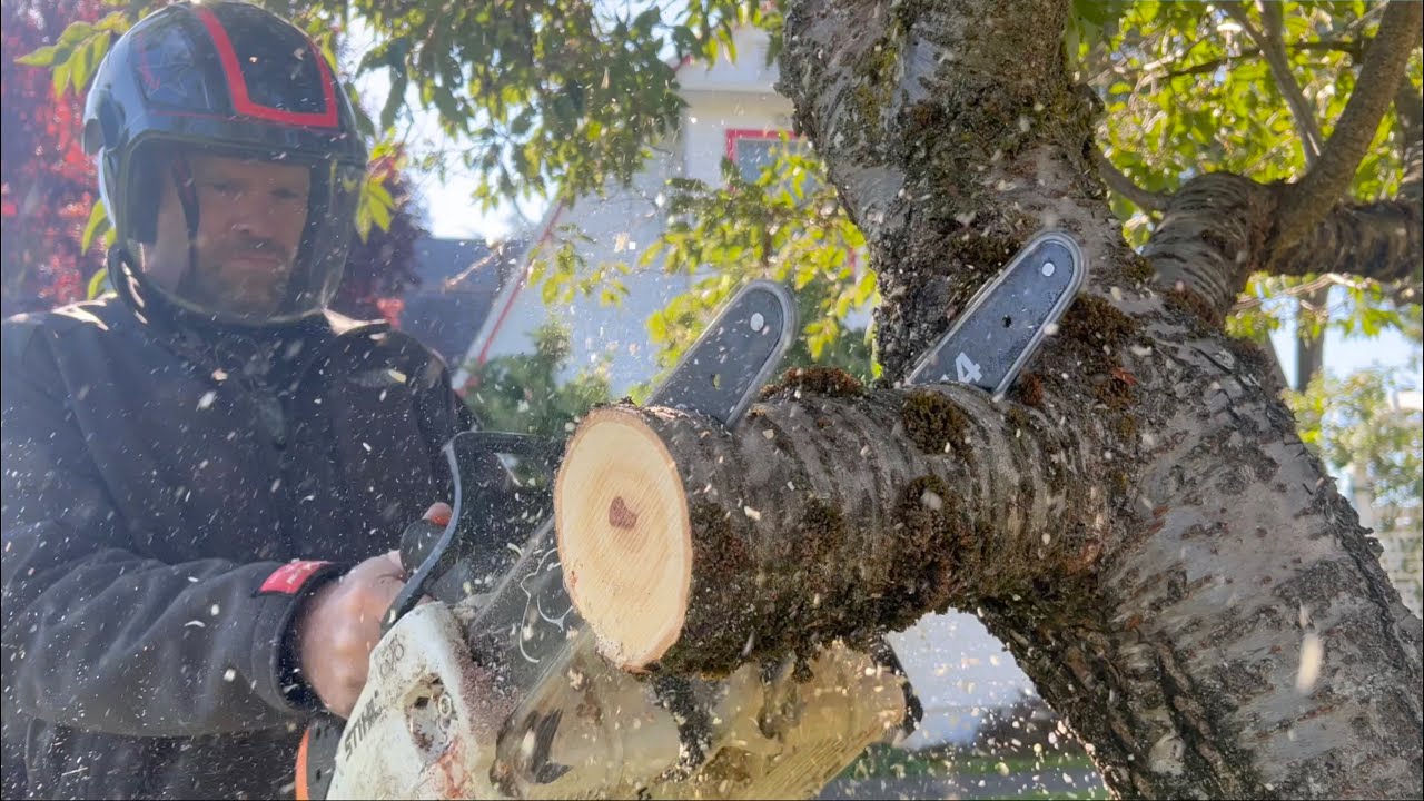 Modded Chainsaw Plus Funky Dead Tree - YouTube
