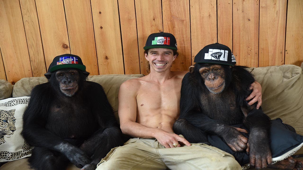 The one and Only Chimp Dinner Live| Myrtle Beach Safari - YouTube