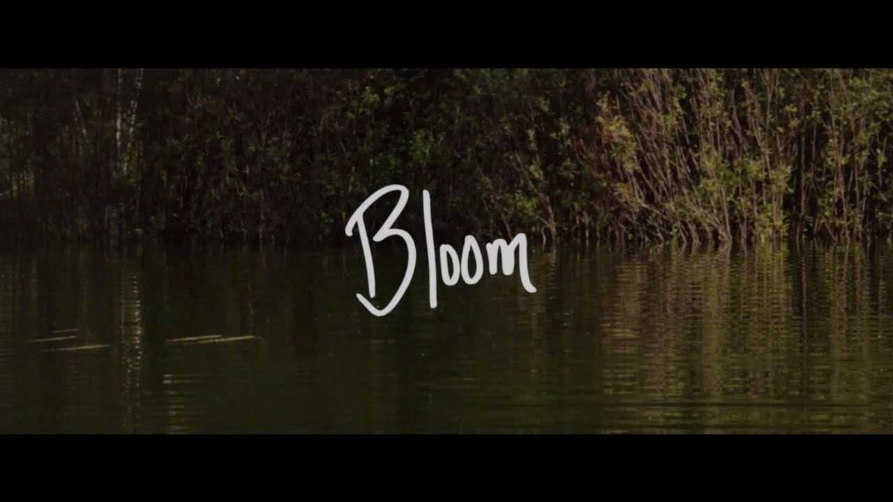 JT Roach - Bloom - Lyric Video - YouTube