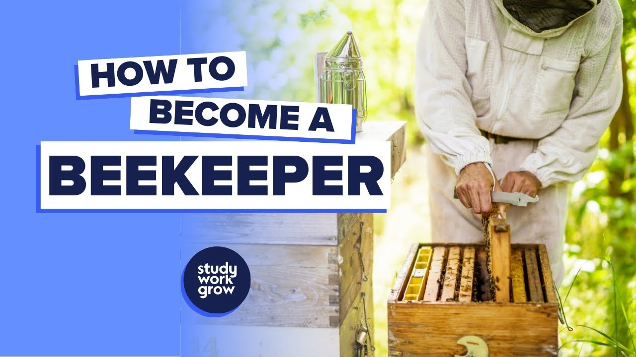 How to become a Beekeeper - YouTube