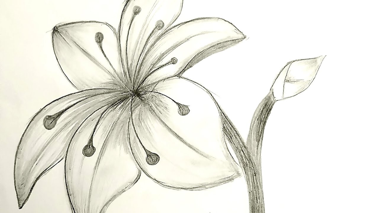 BEAUTIFUL DRAWING OF A FLOWER, BY SHREEJITA 🥰 HOPE YOU LIKE IT THEN ...