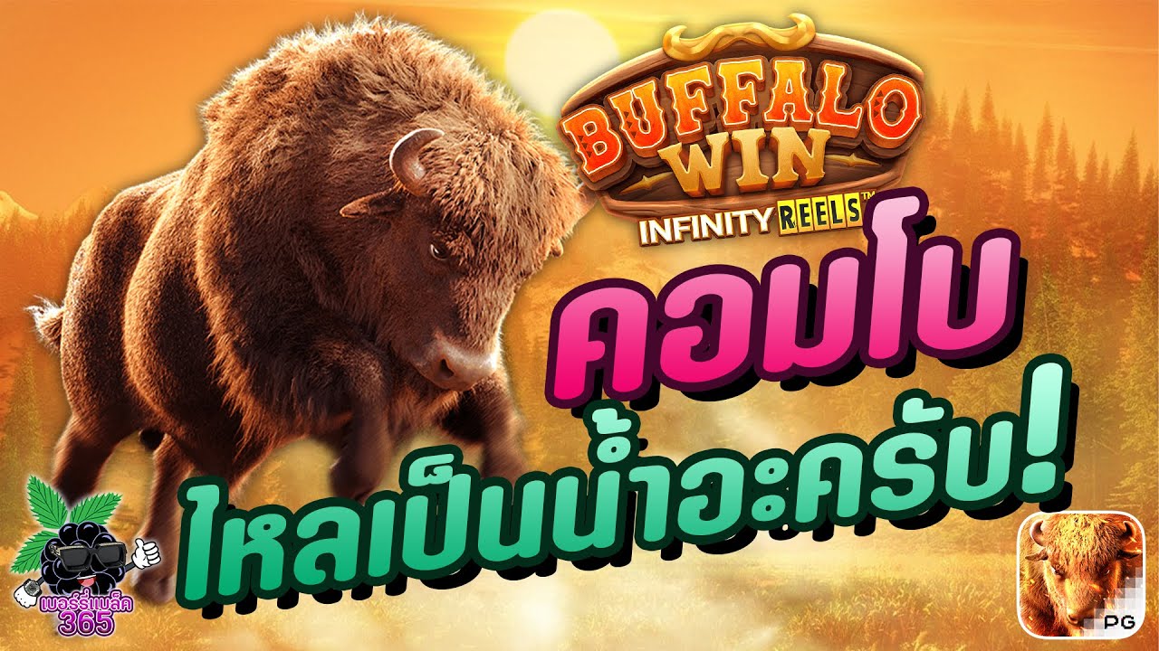 สล็อตควายป่า เกมควายป่าpg สล็อตพีจี l Buffalo win l คอมโบมาอย่างต่อเนื่อง ไหลเป็นน้ำอ่ะครับ ...