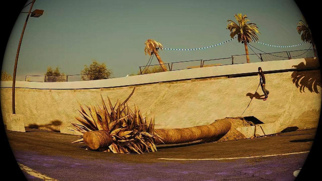 Grind a palm tree? - YouTube