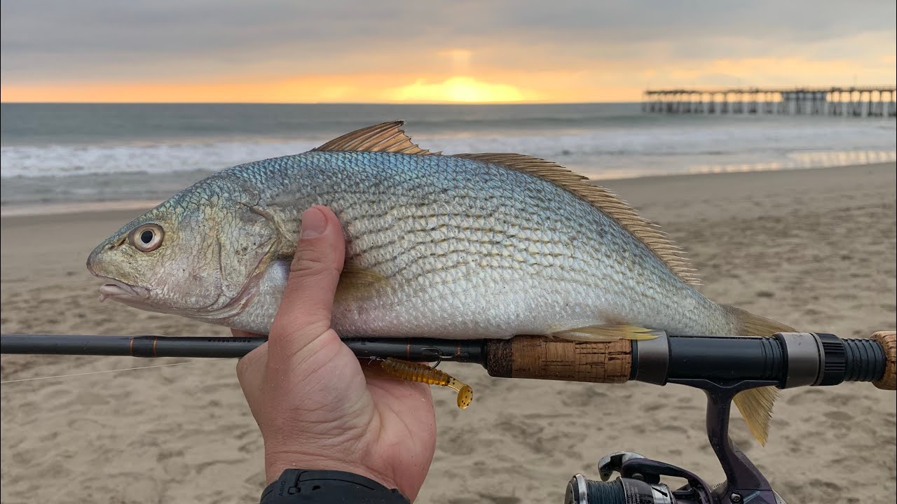 Simple Tip + Demo to Catch More Fish | Southern California Surf Fishing ...