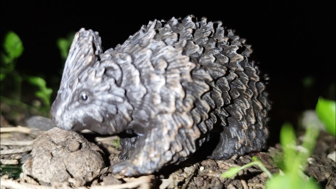 Life Of The Porcupine: Spikes Of Legend Begins - YouTube