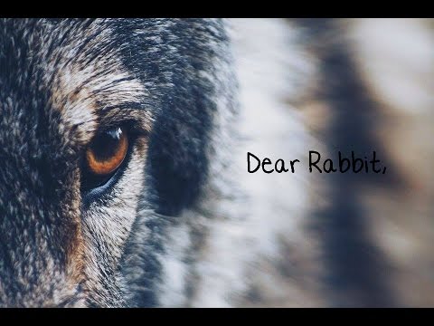I Know I'm A Wolf || Young Heretics || Lyrics - YouTube
