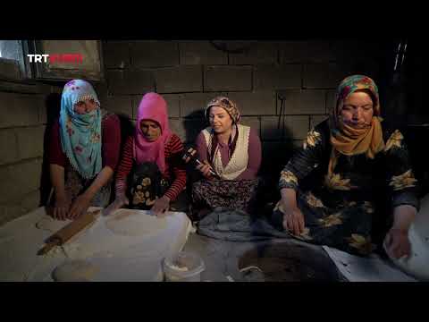 Nanê Loş - Beşa 2.