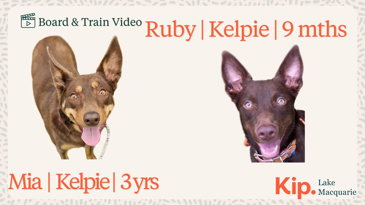 Ruby and Mia- Kelpies - YouTube