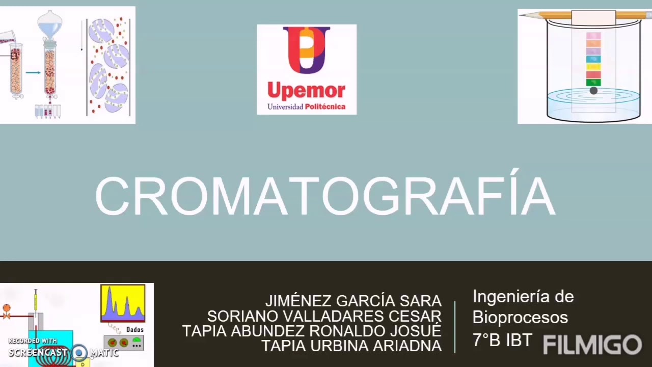 Tipos De Cromatografia Cuales Son Images Tipos De Cromatografia Cuales Son Images