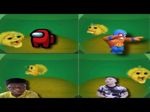 Yellow Singing Pufferfish compilation - YouTube