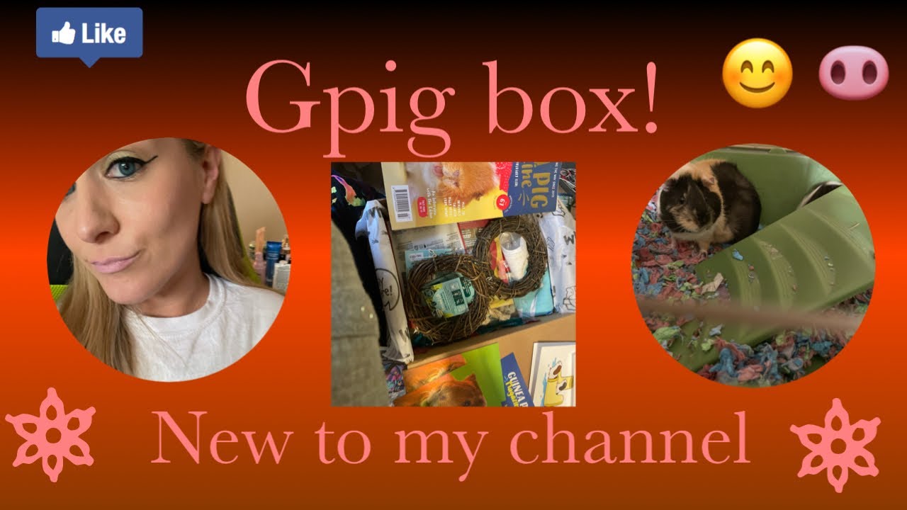 Gpig Box unboxing April 2021 New to my Channel! - YouTube