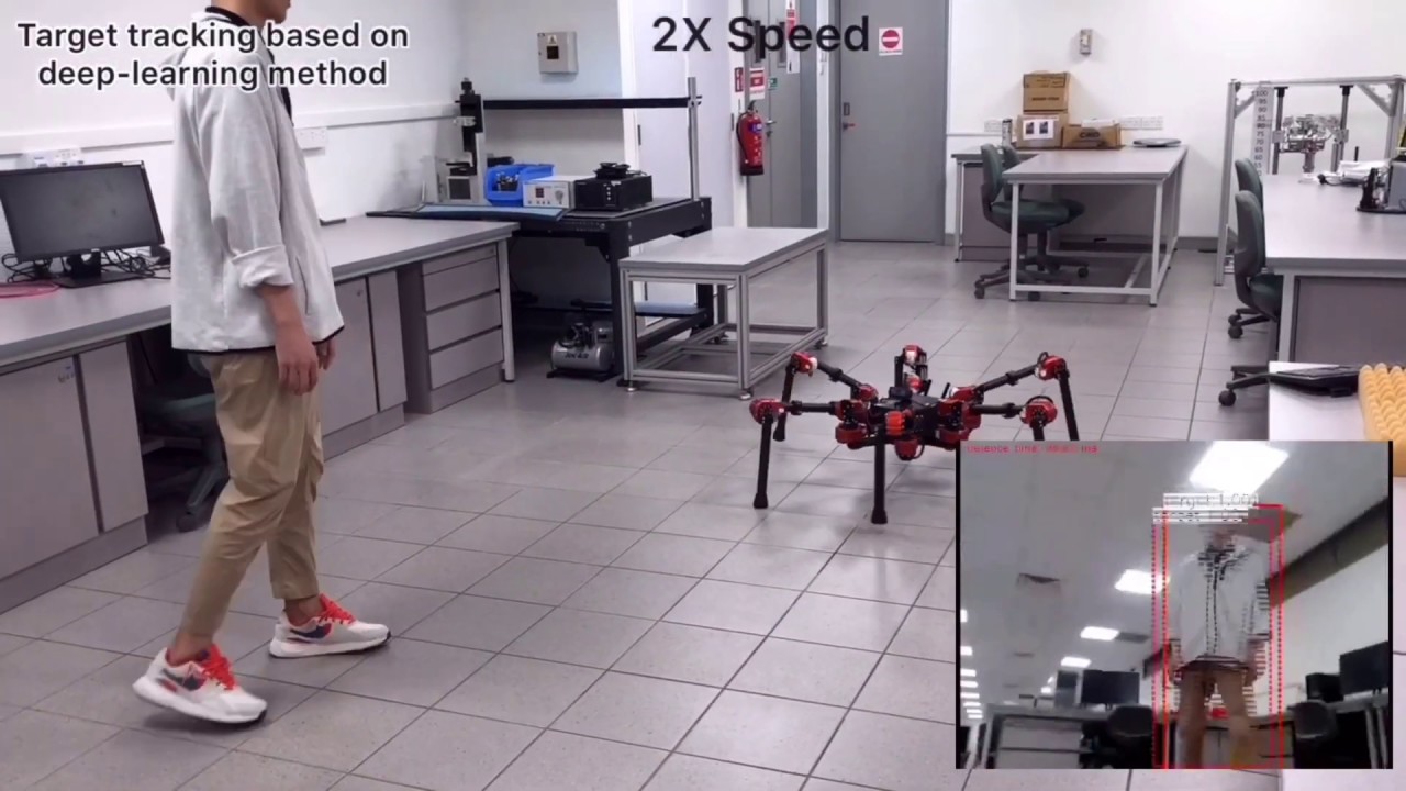 Bio inspired Visual Servoing for a Legged Robot - YouTube