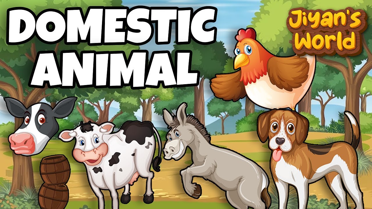ANIMAL NAMES AND SOUNDS for Kids Video - Learn Animal Names for ...