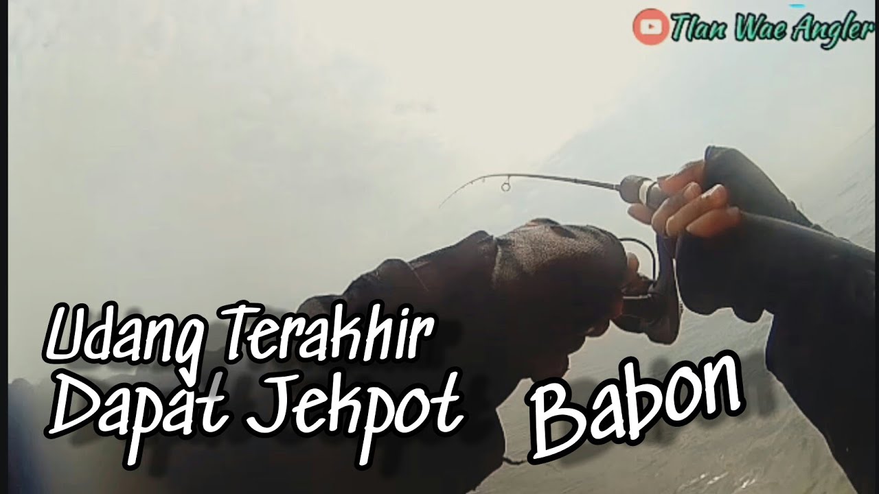 Panen Ikan Cuma Pake Umpan Udang Busuk Mancing Di Pinggir Laut - YouTube