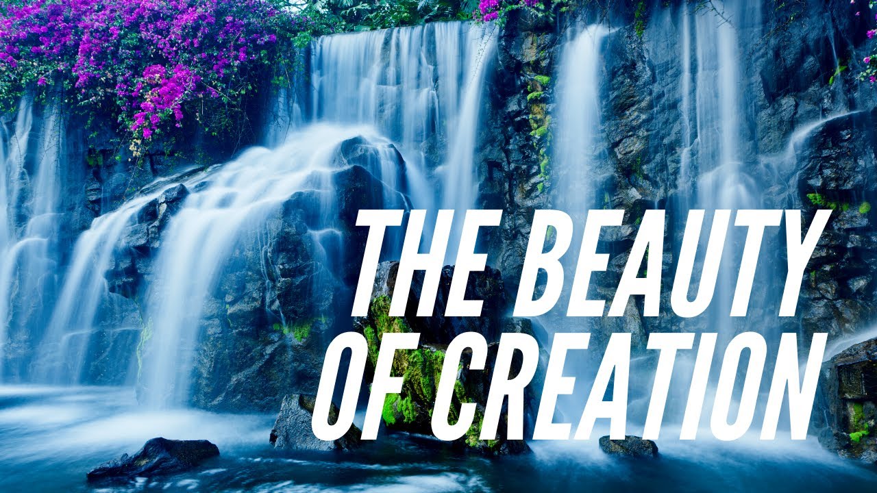 The Beauty of Creation | Mentoring Monday - YouTube