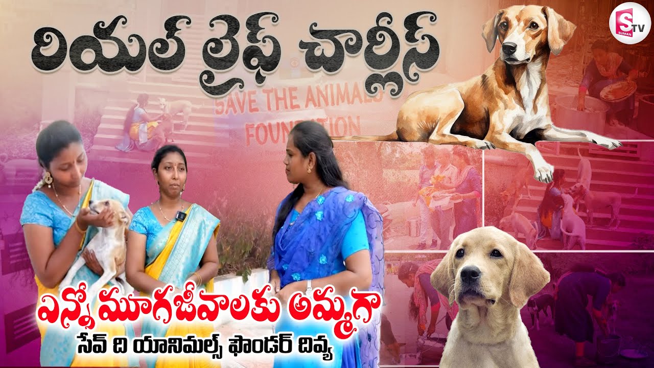 Save the Animals Founder Divya Exclusive Interview రియల్ లైఫ్ చార్లీస్ ...