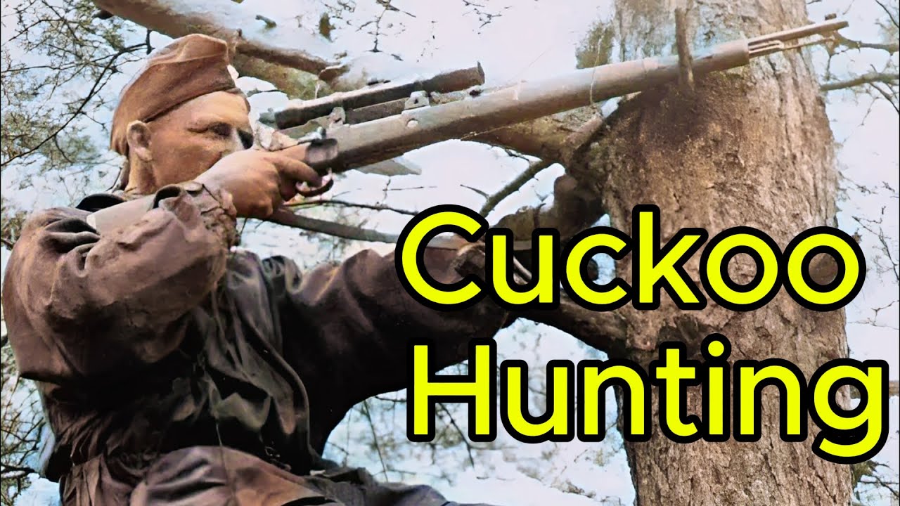 Snipers hunting each other. Hunting the "cuckoo". Sniper's diary - YouTube
