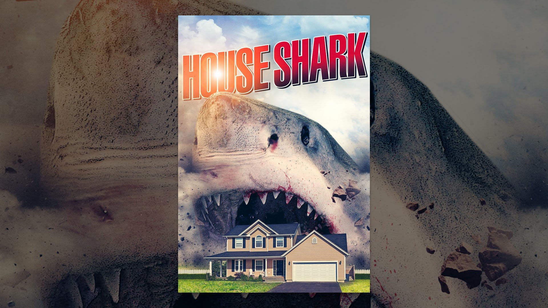 House Shark - YouTube