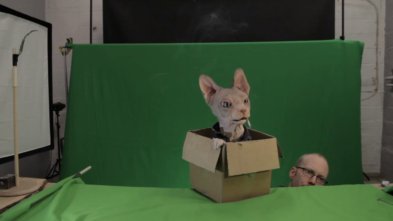 We r Animals, Making of screen test2 - YouTube