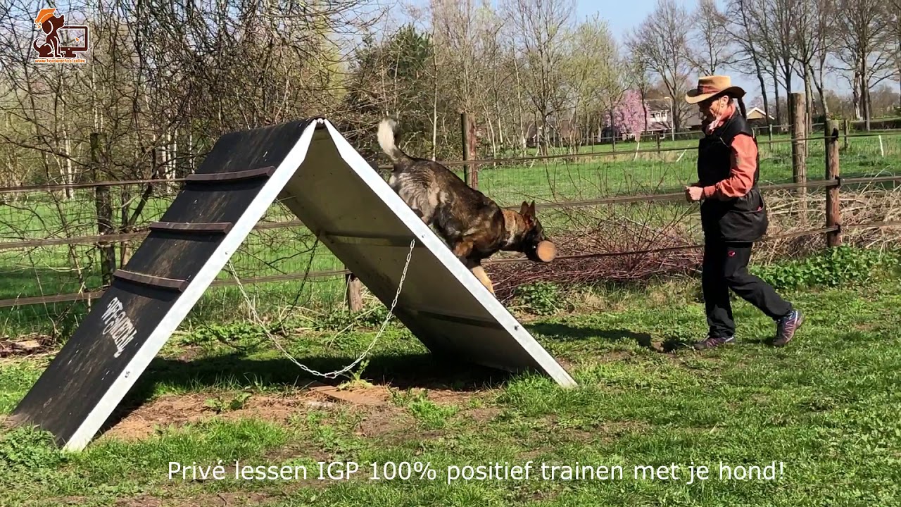 IGP training met clicker - YouTube