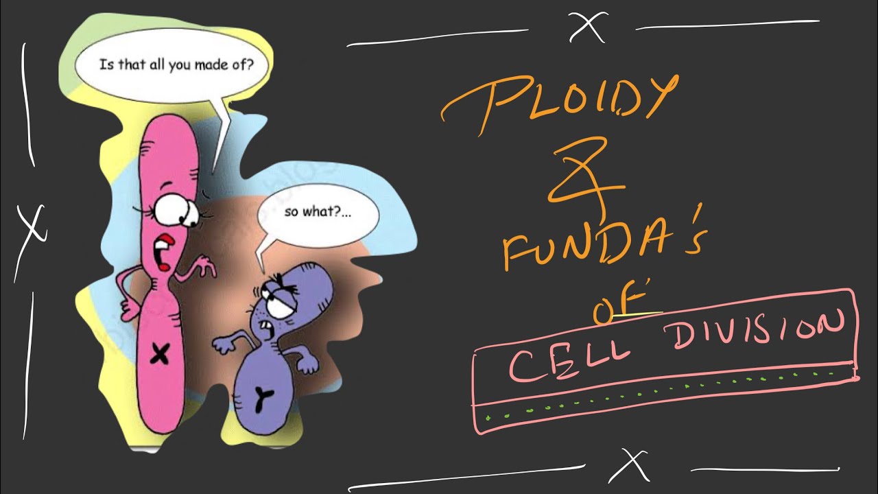 One Shot Series: CONCEPT OF PLOIDY - YouTube