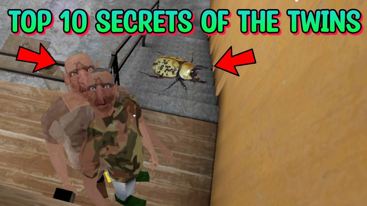 Top 10 secrets of The Twins || Top 10 secret of Bob and Buck ...