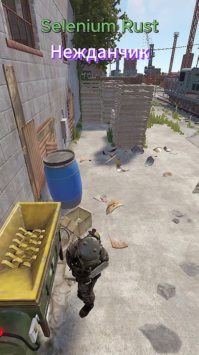 Раст ️ SELENIUM - лучший новый проект по rust #раст #мем мем в раст ...