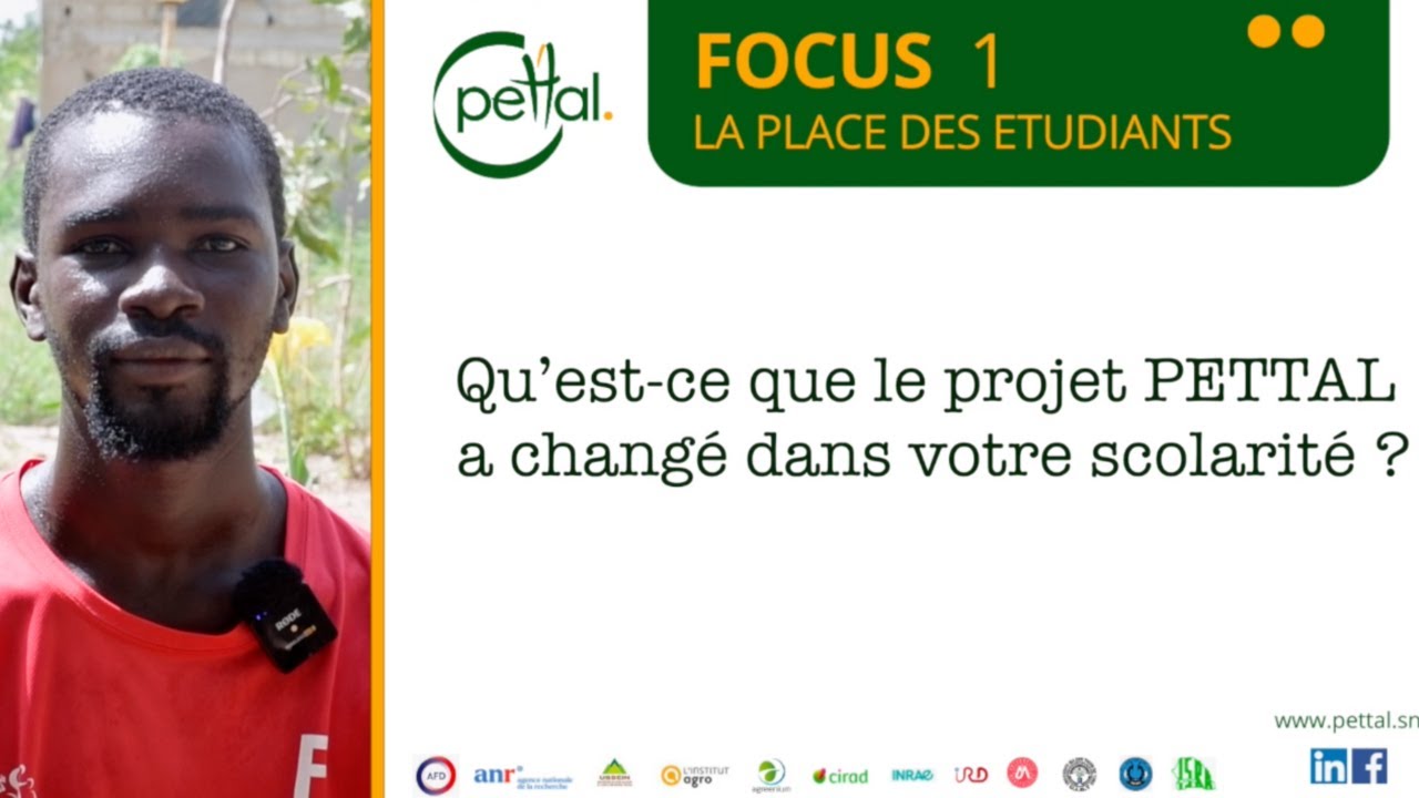 Projet PETTAL : Focus 1_LA PLACE DES ETUDIANTS : Abdou FALL Etudiant en ...