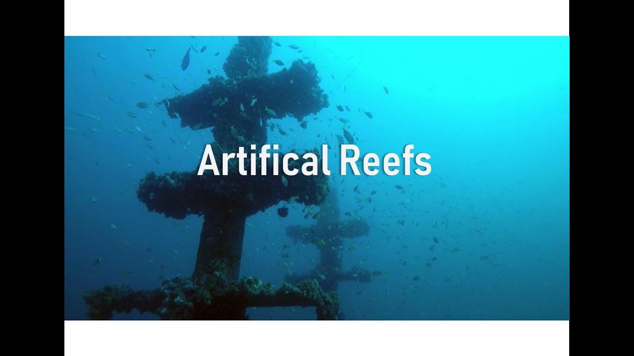 Artificial Reefs - YouTube