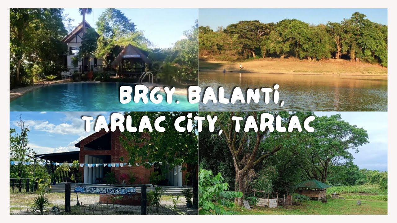 Brgy Balanti,Tarlac City: Bale Mi Farm Lifestyle,Hale Aloha ,Kit Cujo ...
