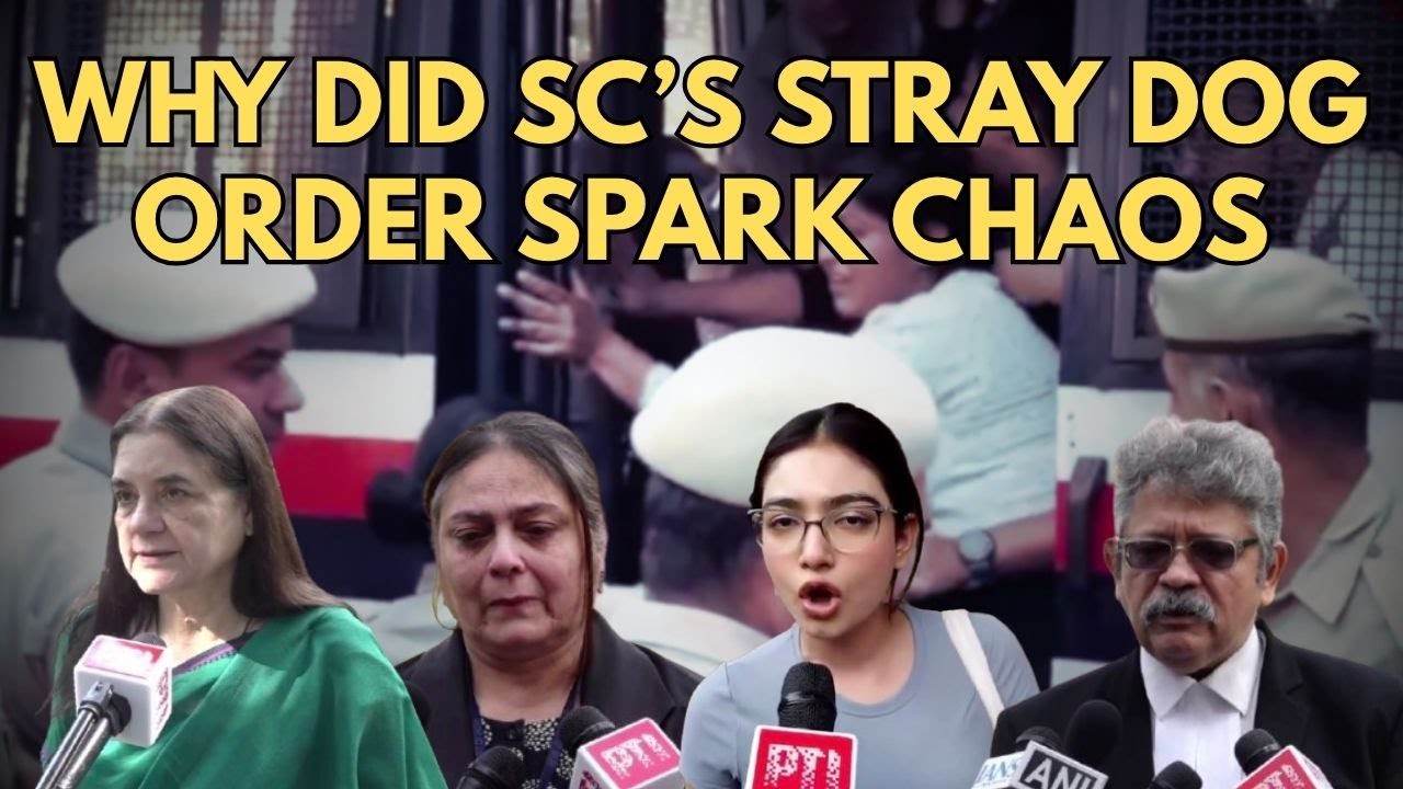 Why Is The Supreme Court’s Stray Dog Order Facing Backlash? - YouTube