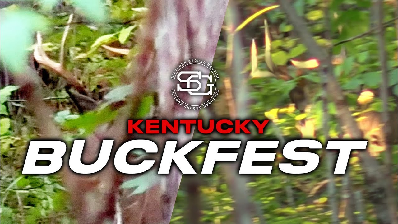 BIG BUCKFEST On Public Land In Kentucky During The October Lull!! - YouTube