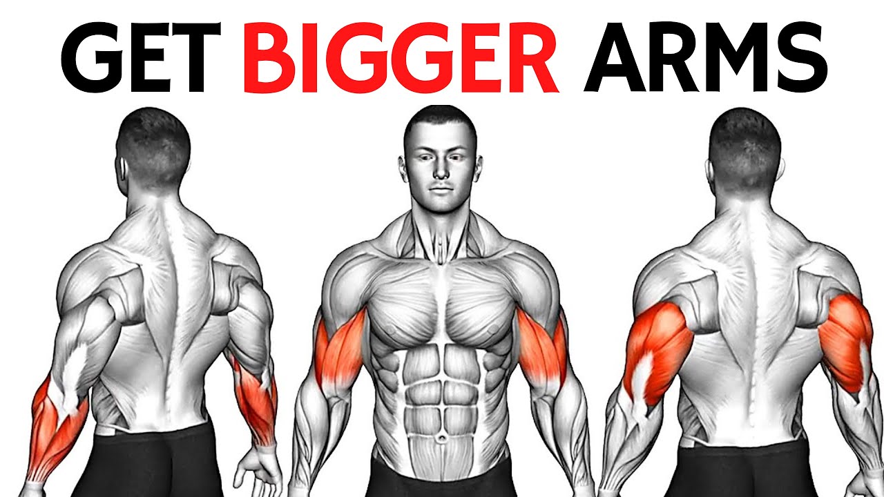 Build Bigger Arms Fast The Ultimate Workout For Explosive Growth
