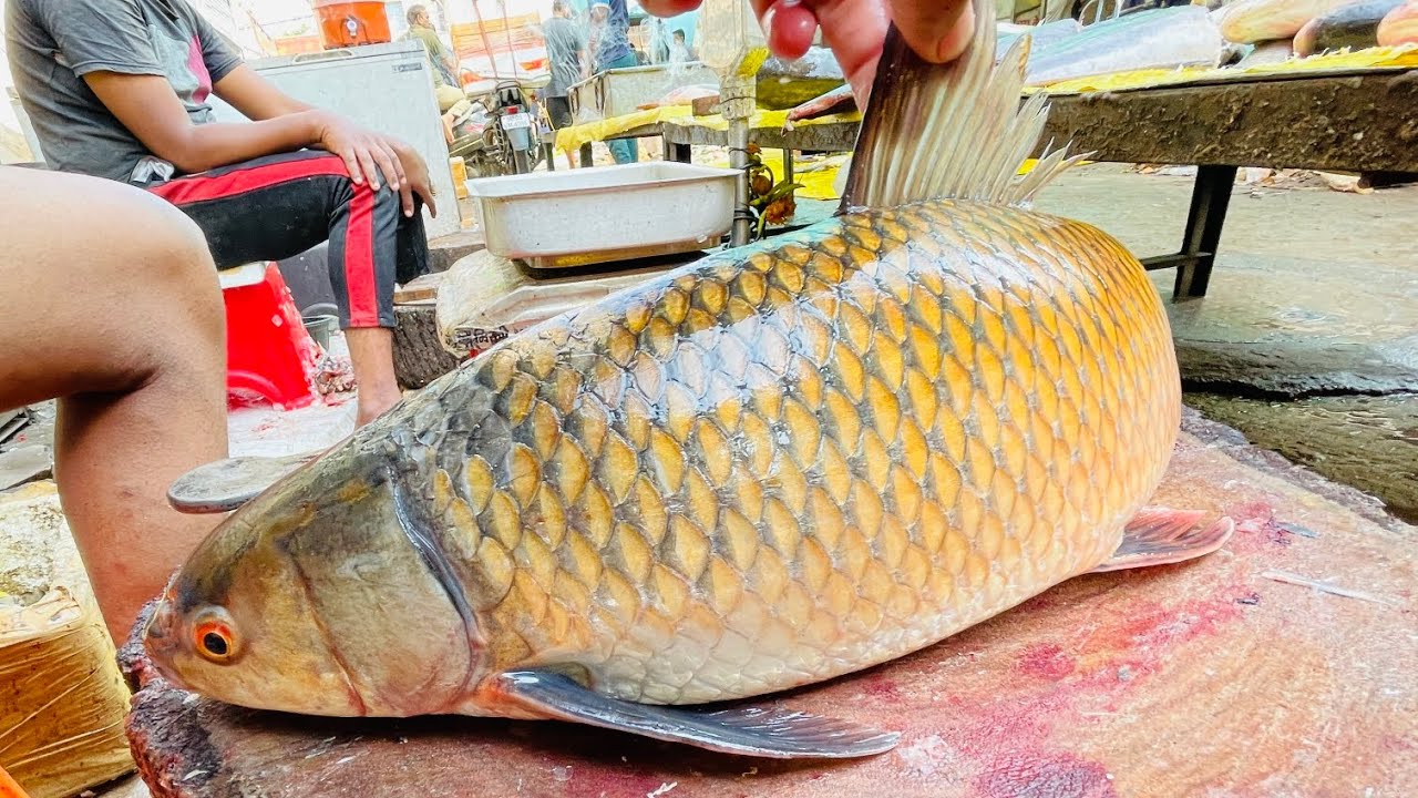 Incredible Golden Carp Fish Cutting Live in Fish Market || Amazing ...