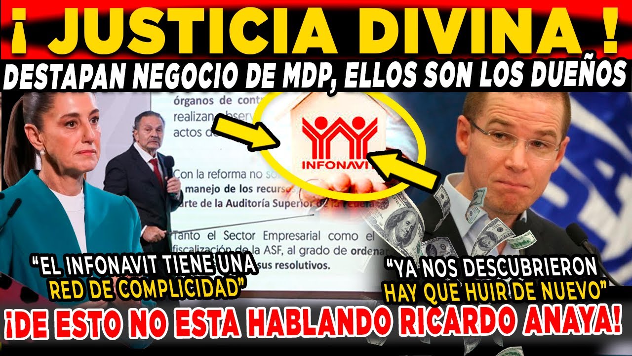 Cerrón de Hocico al R. Anaya, Se destapa NEGOCIO millonario de sus ...