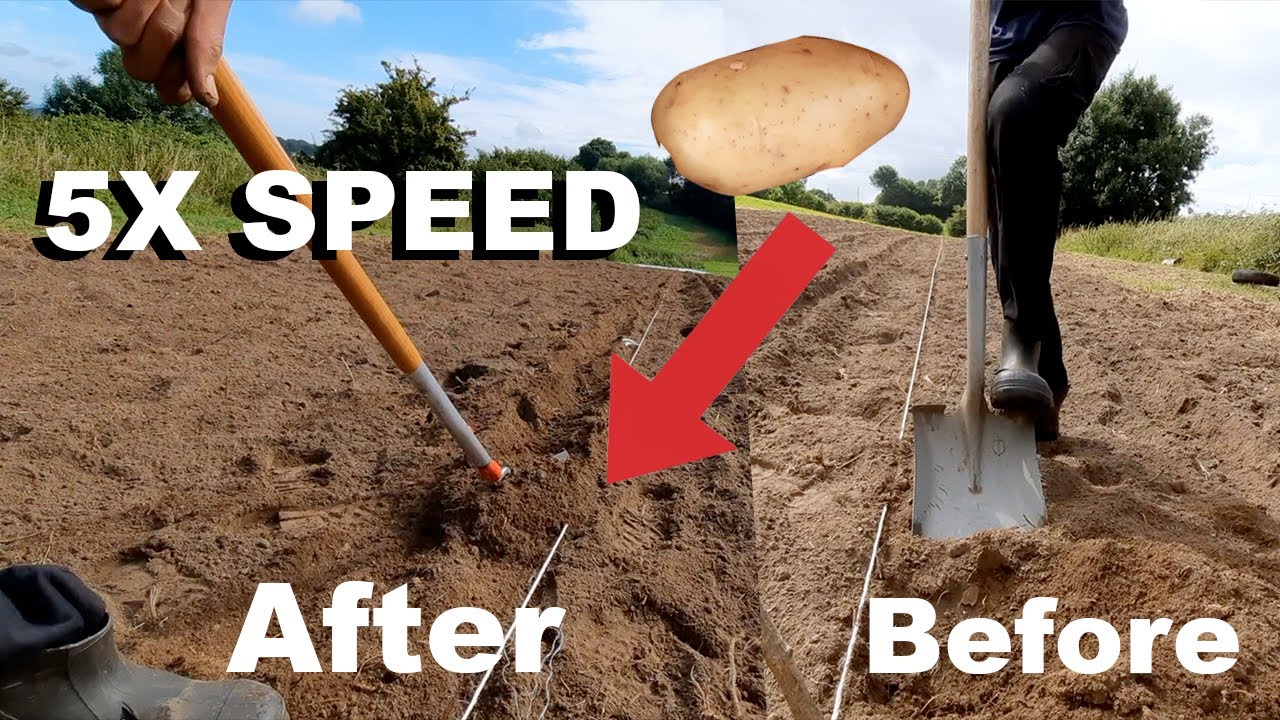 Plant Potatoes 5 TIMES QUICKER With a Potato Ridger! - YouTube