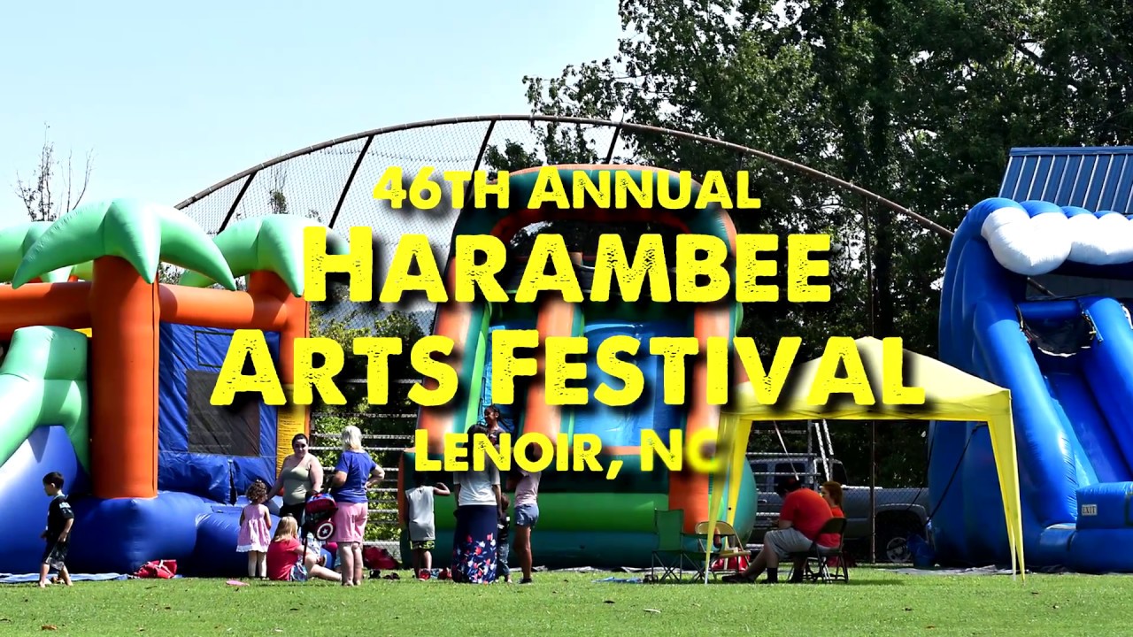 Harambee Arts Festival Promo, Aug 4, 2018 - YouTube