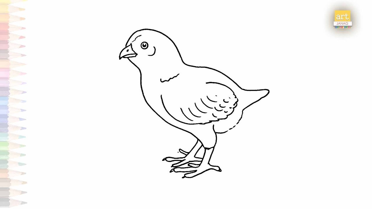 Little chicken easy drawing | Outline drawing tutorials | How to draw A ...
