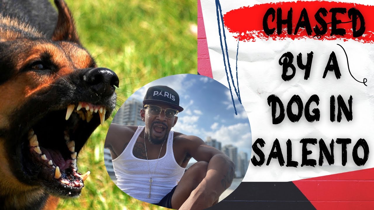 Chased by a Dog in Salento (AGAIN!!) - YouTube