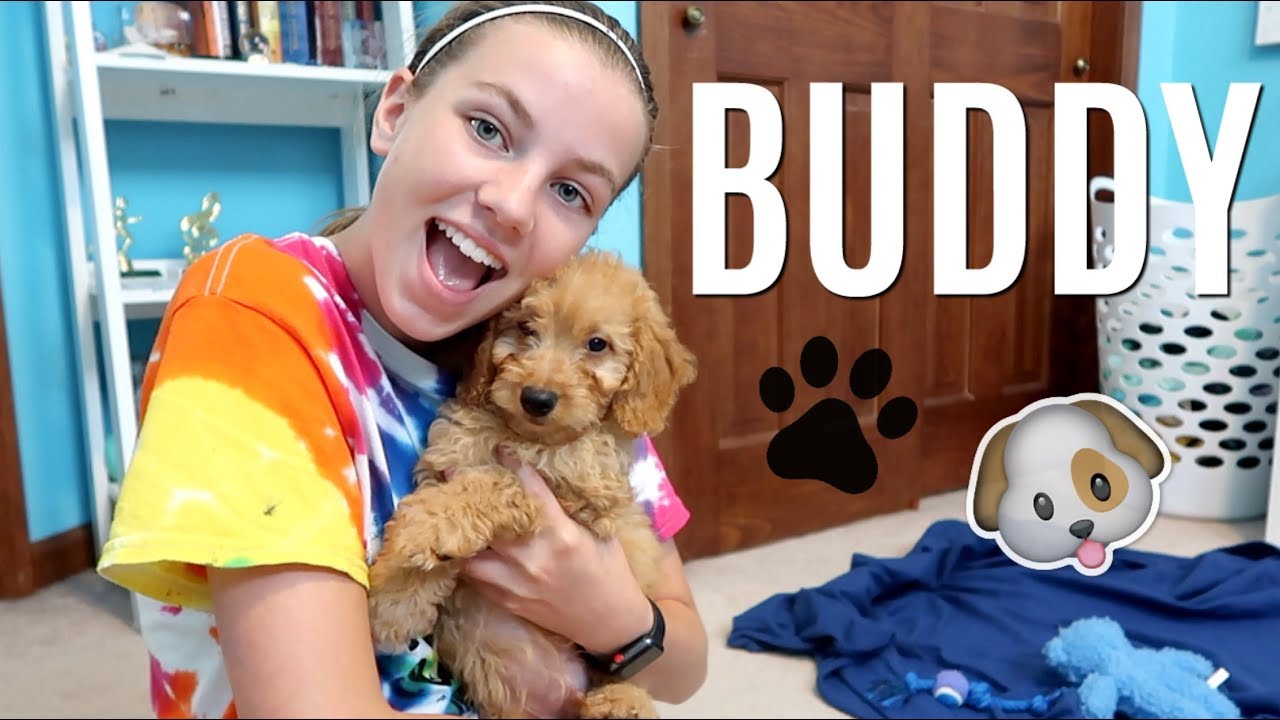 Furry Friend Tag | Laina Elyse - YouTube