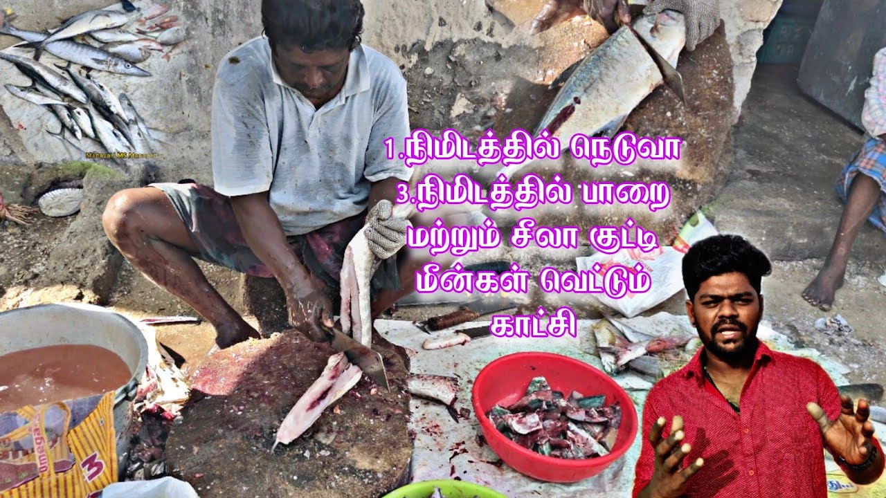 மீன்களை இப்படி வெட்டுங்க ரொம்ப ஈசியா இருக்கும் / SEELA NEDUVA PAARAI ...