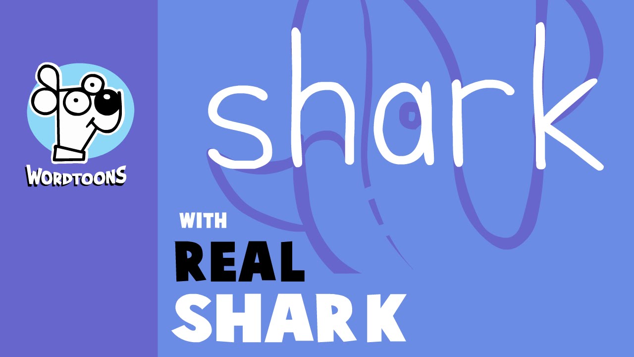 Drawing With Live Sharks Word Into Cartoon Shark - Shark Dive Wordtoon ...